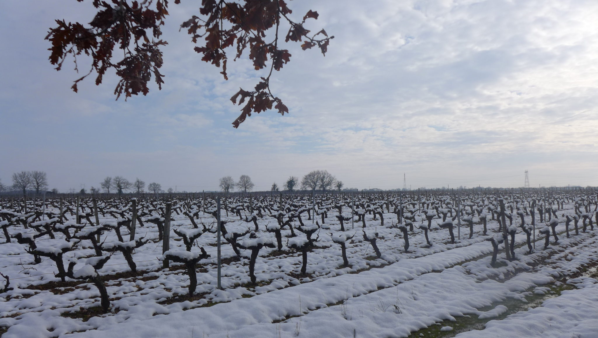 Champ-sur-Layon - Mairie de Bellevigne-en-Layon